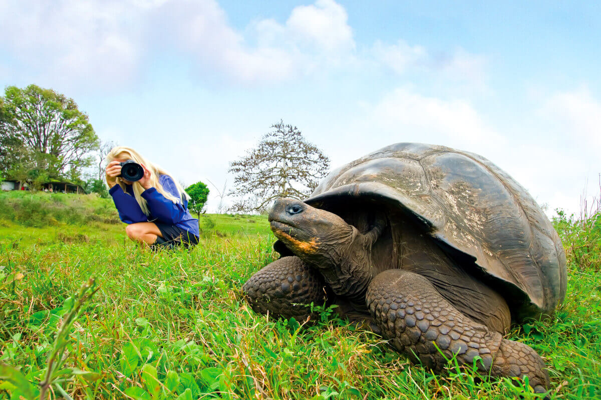 Wild Galápagos & Peru Escape - Sunstone Tours & Cruises